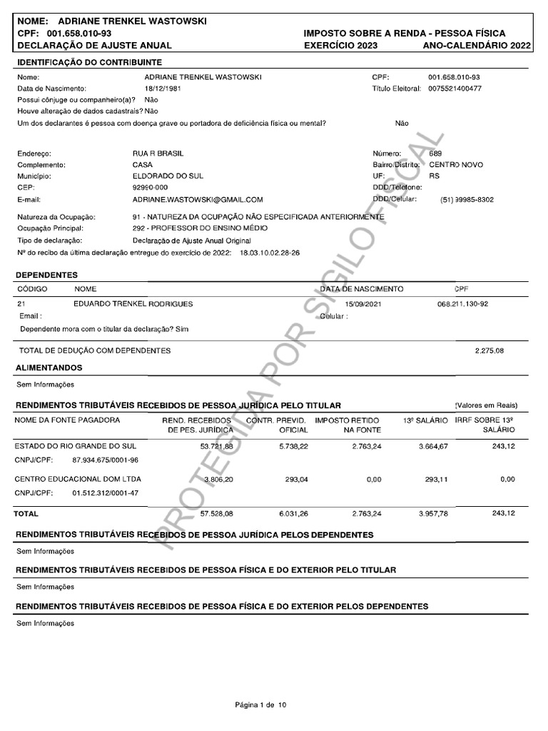 IRPF 2023 2022 Origi Imagem Declaracao | PDF