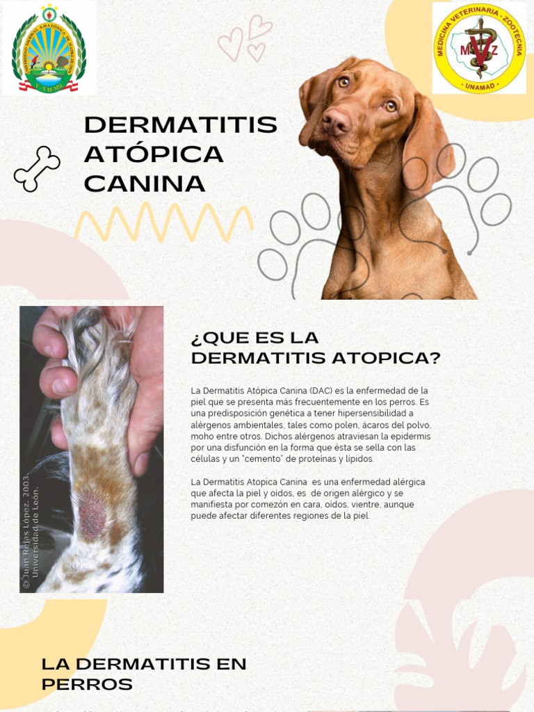Dermatitis Atopica Canina | PDF