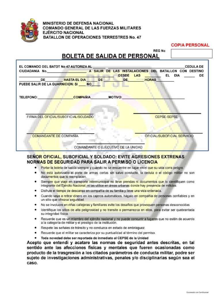 Formato Boleta de Salida Batot 47 | PDF