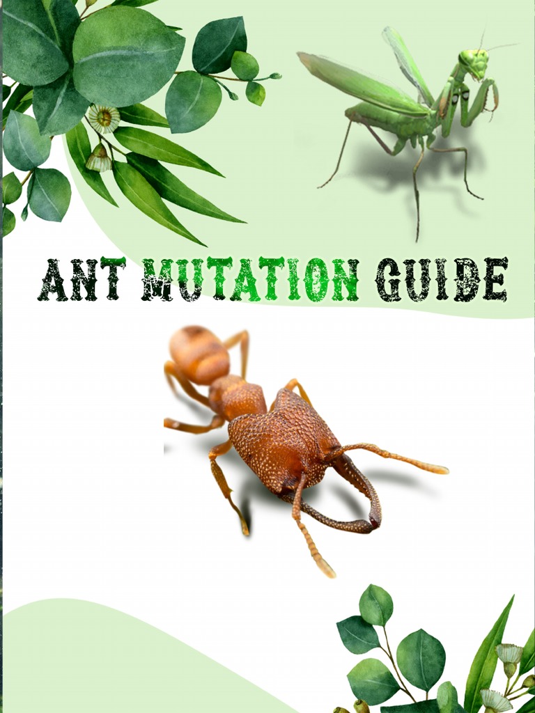 Ant Mutation Guide | PDF