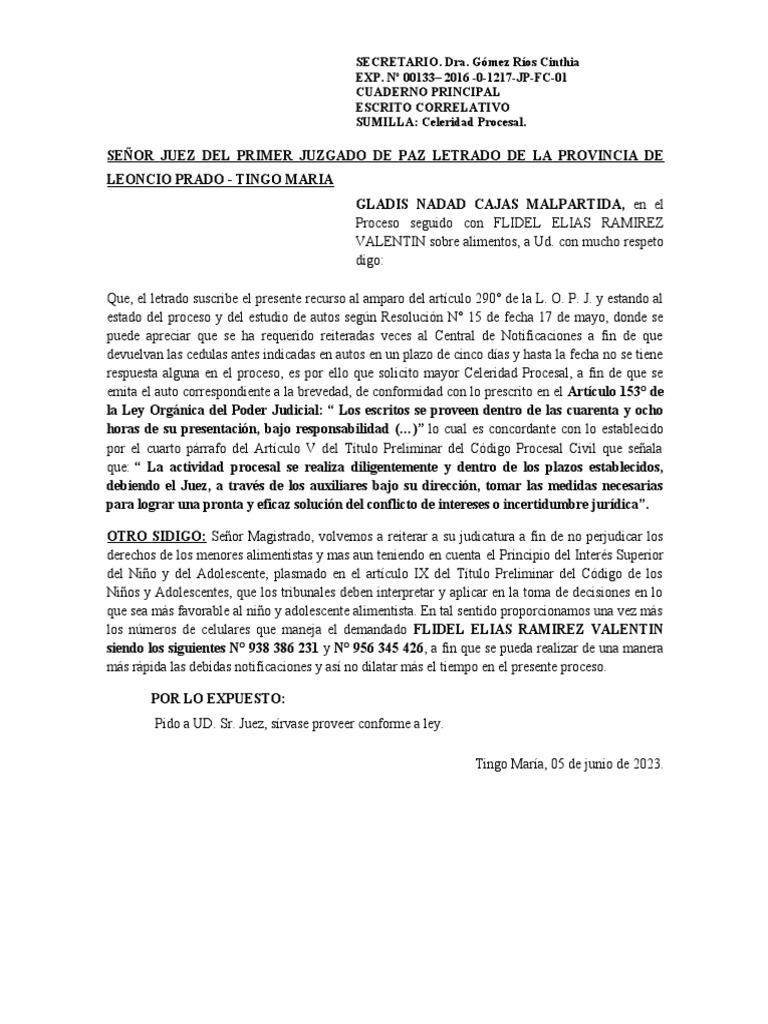Escrito Celeridad | PDF