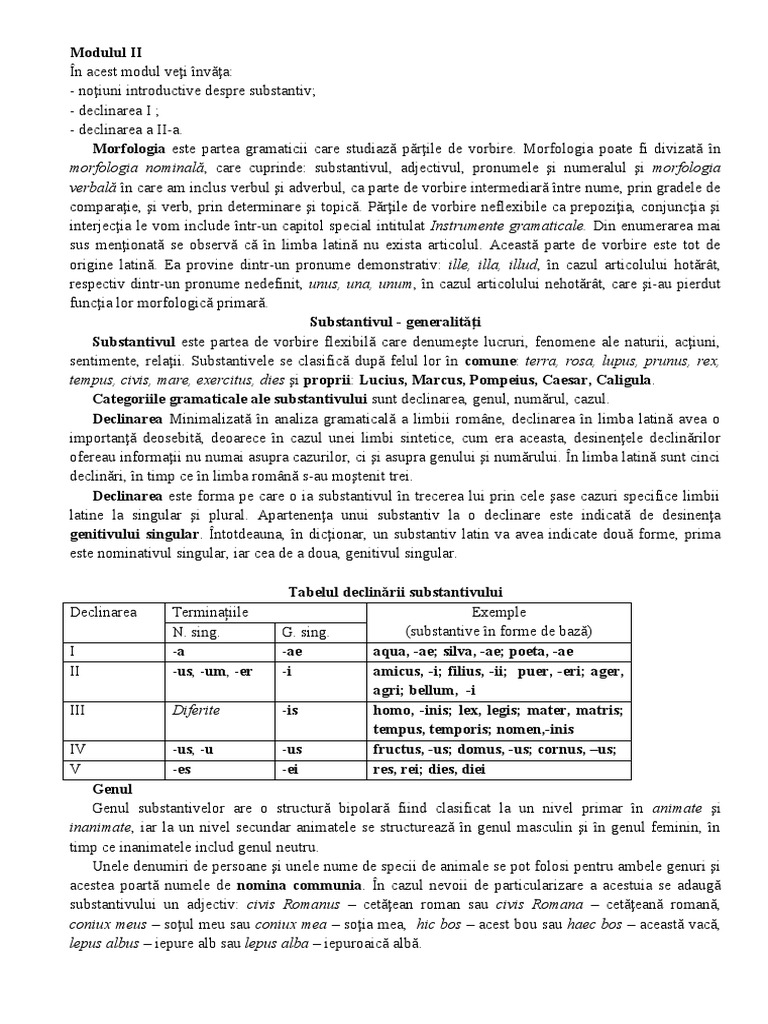 Modulul II. Declinarea I Și A II-a | PDF