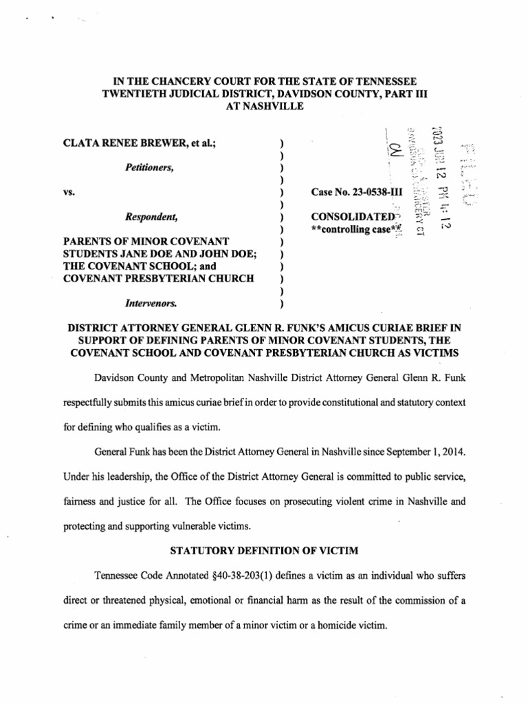 Amicus Brief on Victim Definition in TN | PDF | Crimes | Crime & Violence