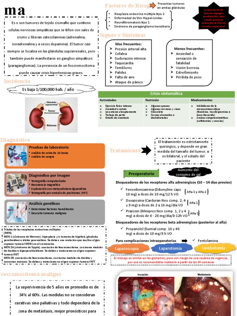 Feocromocitoma | PDF | Medicina CLINICA | Enfermedades y trastornos