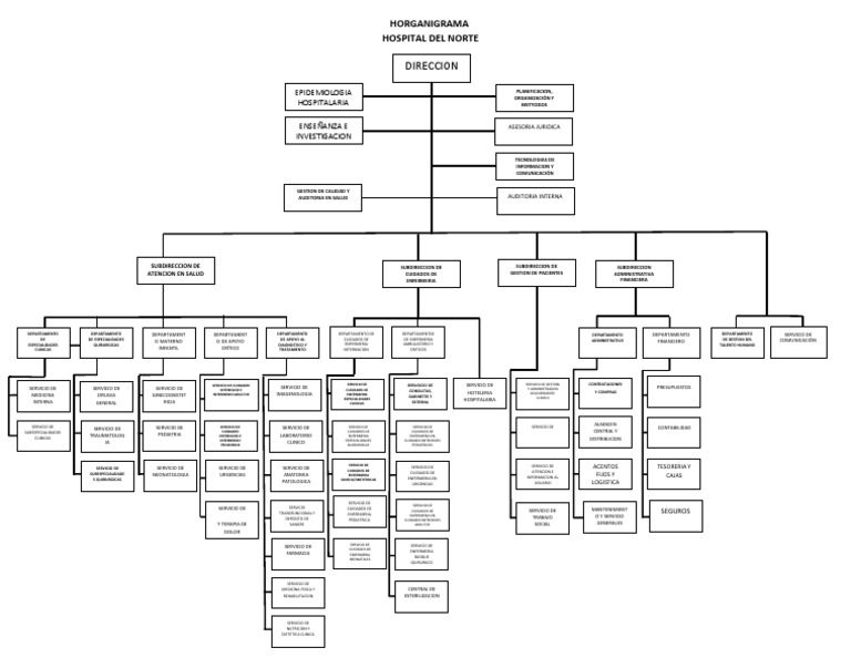 Organigrama | PDF | Enfermería | Medicina de Cuidados Intensivos