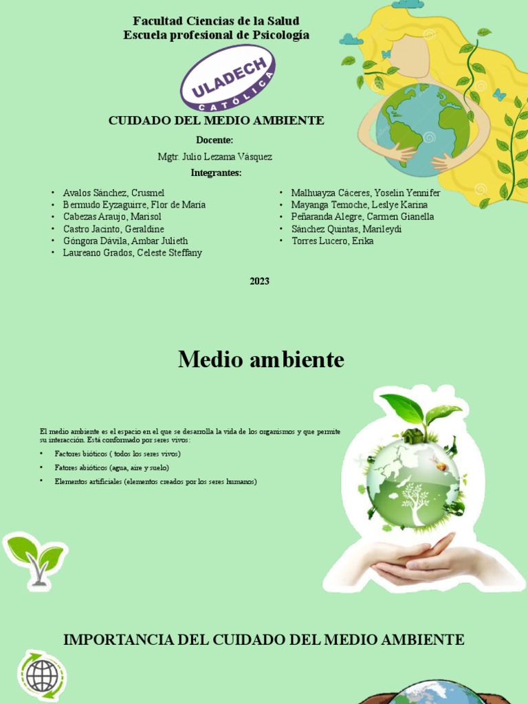 Cuidado del Medio Ambiente y su Importancia | PDF | Contaminación ...
