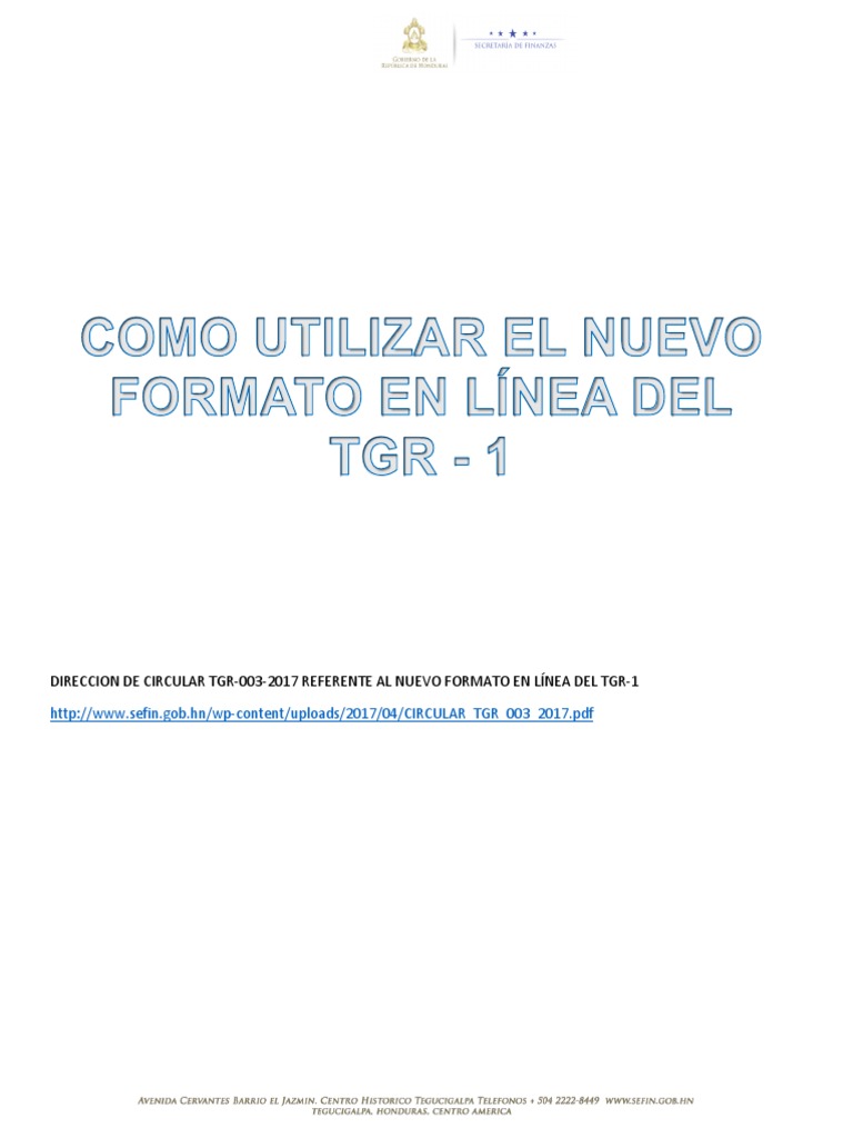 Instrucciones para Formato TGR-1 en Línea | PDF | Negocios | Finanzas y ...