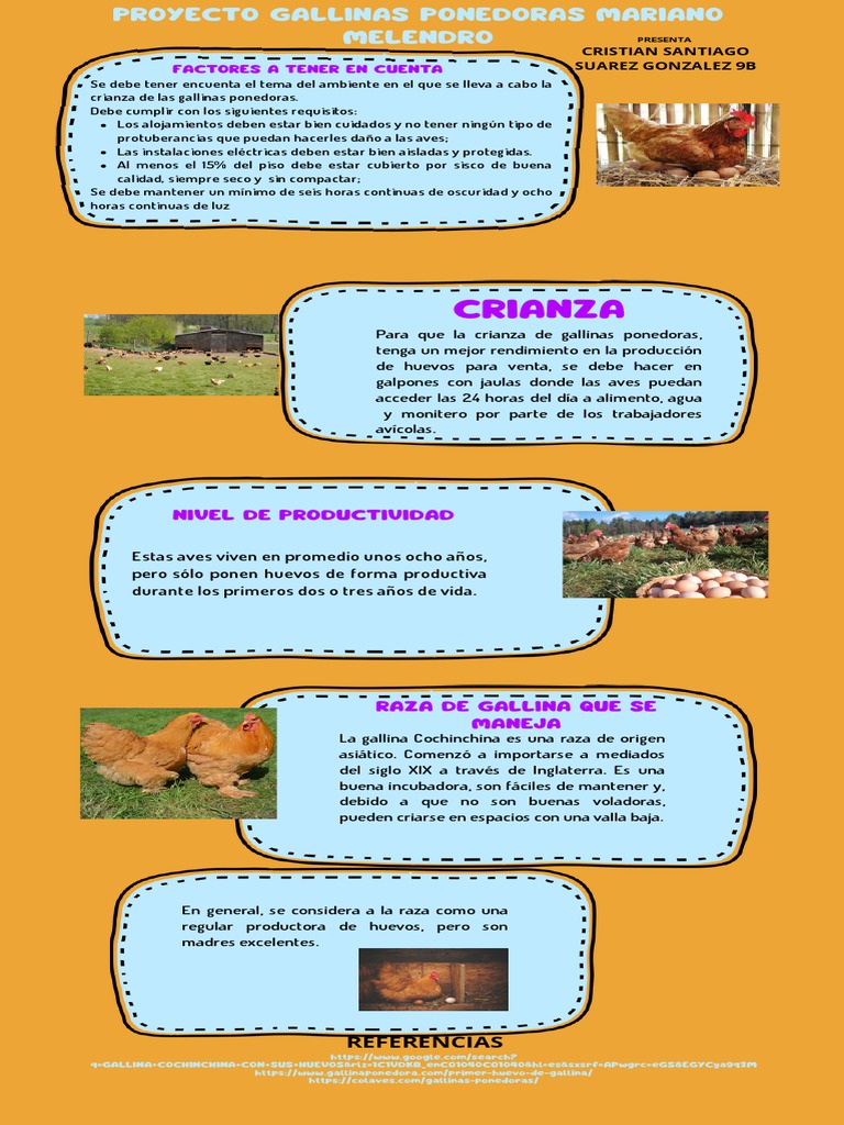Proyecto Gallinas Ponedoras | PDF | Pollo | Aves