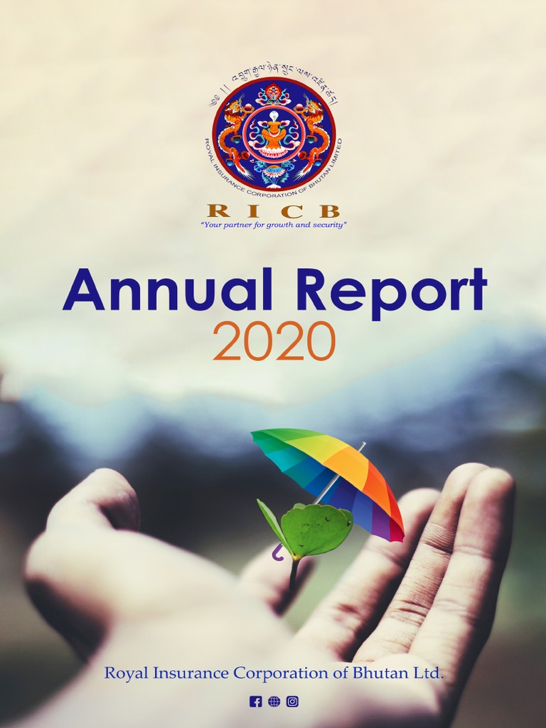 Annual Report 2020 | PDF