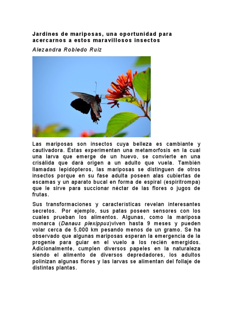 Las Mariposas | PDF | Mariposa | Lepidópteros