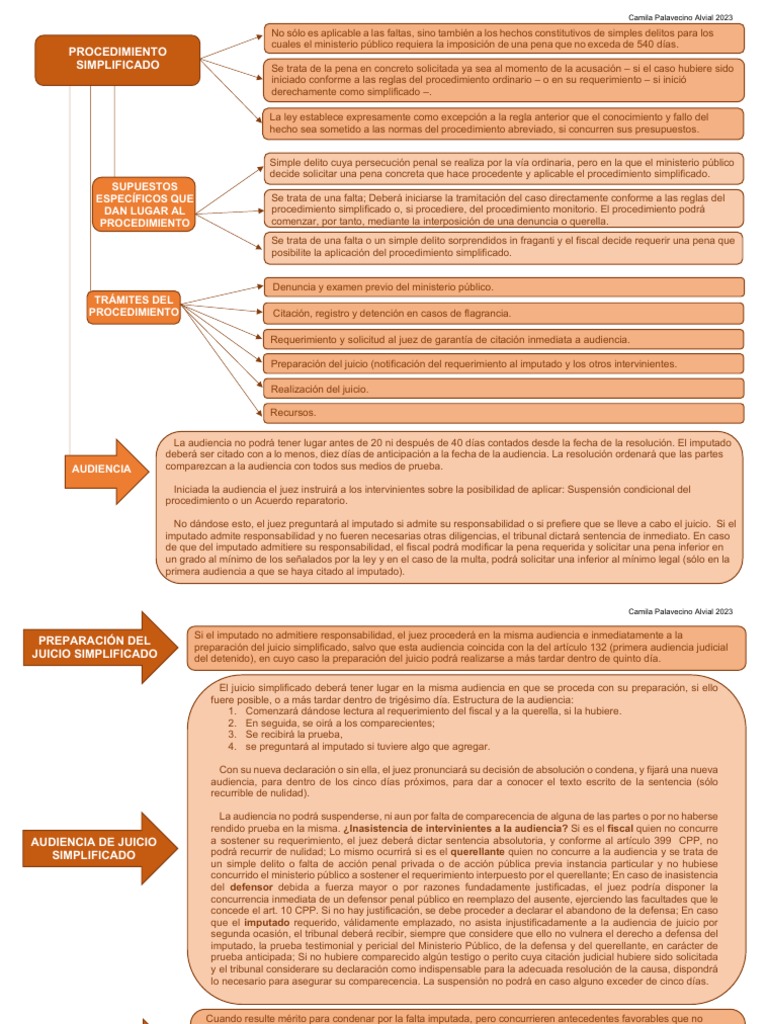 Esquema Procedimiento Simplificado Chile | PDF