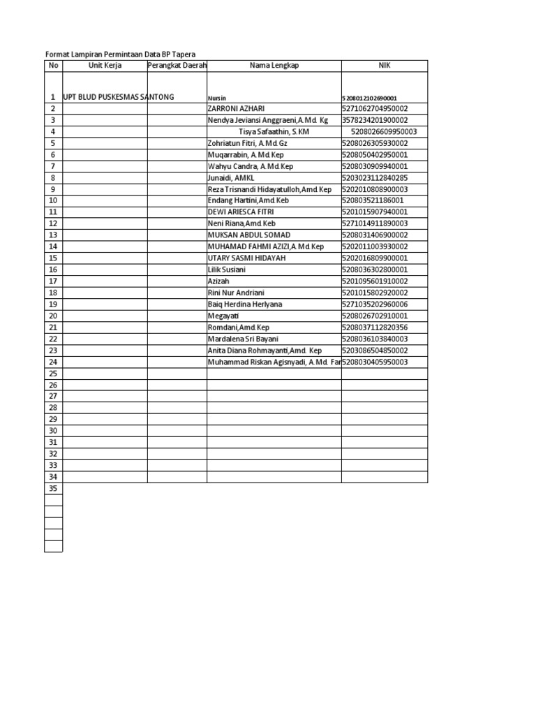 Format Permintaan Data BP Tapera Santong) | PDF