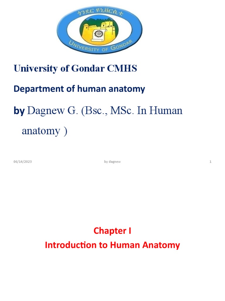 Intro to Human Anatomy Basics | PDF | Anatomical Terms Of Motion ...