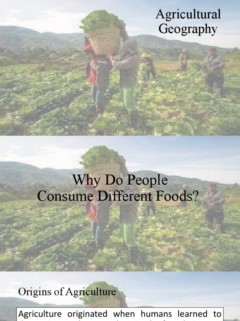 Agricultural Geography | PDF | Agriculture | Domestication