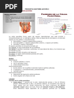 Región Parotídea | PDF | Anatomía humana | Sistema musculoesquelético