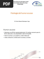 Fisiologia Del Humor Acuoso | PDF | Glaucoma | Ojo humano
