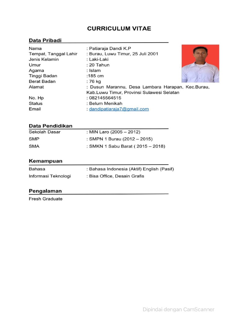 CV DANDI-dikonversi | PDF