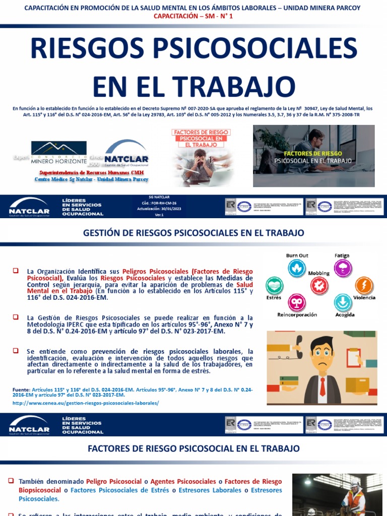 1-Riesgos Psicosociales (P) | PDF