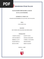 Guía de Procedimiento - Vacam | PDF | Vejez | Adultos