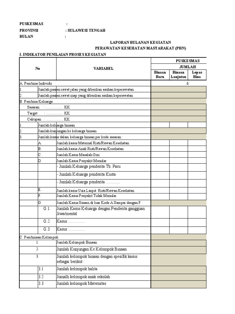 Format PHN BARU | PDF