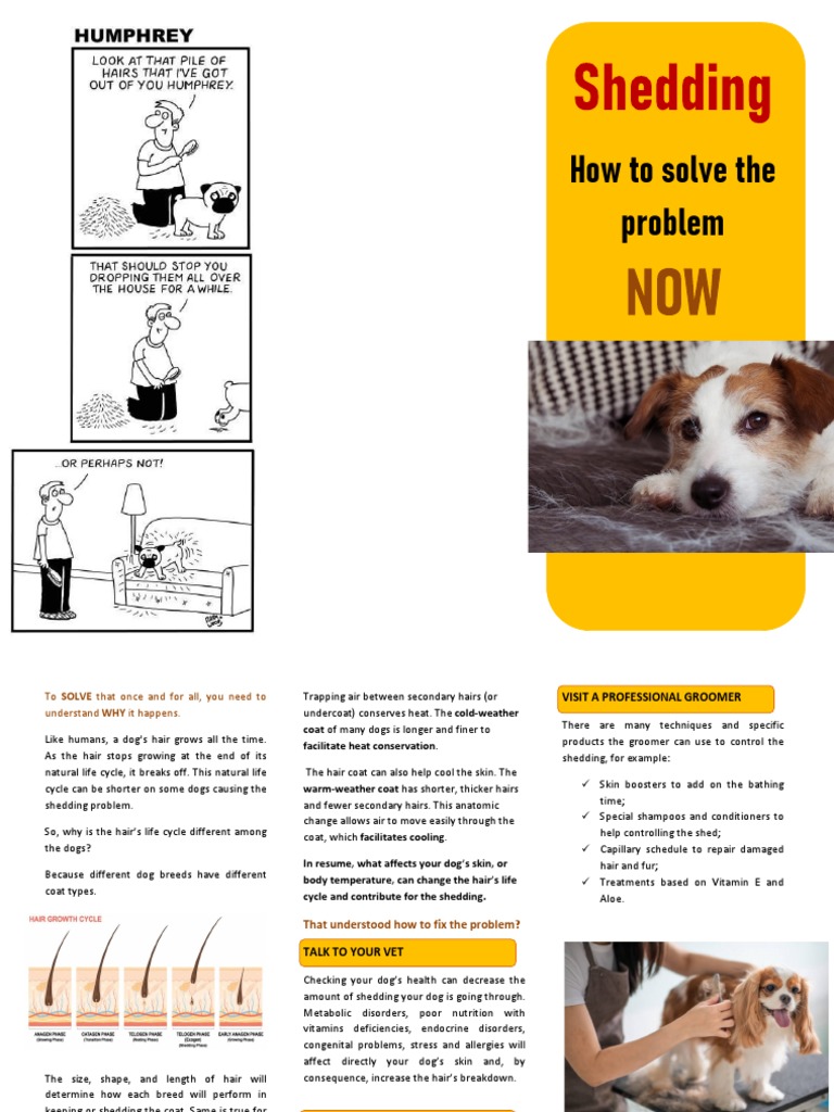 Shedding Flyer PDF | PDF | Hair