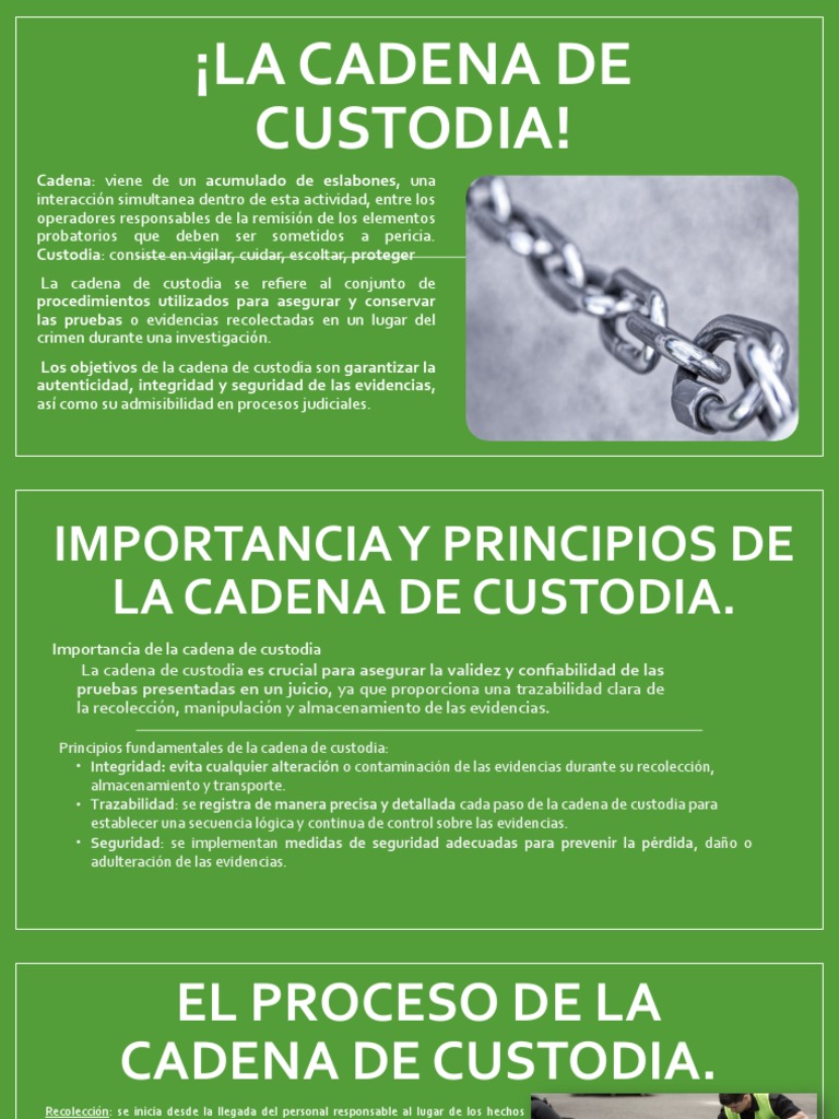 5 La Cadena de Custodia | PDF