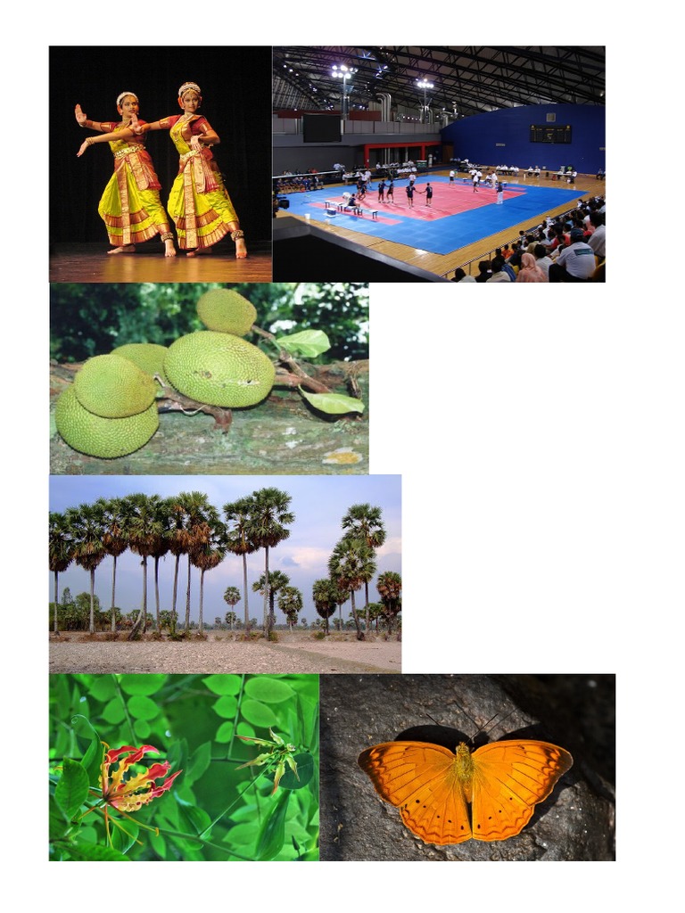 Tamil Nadu Symbols | PDF