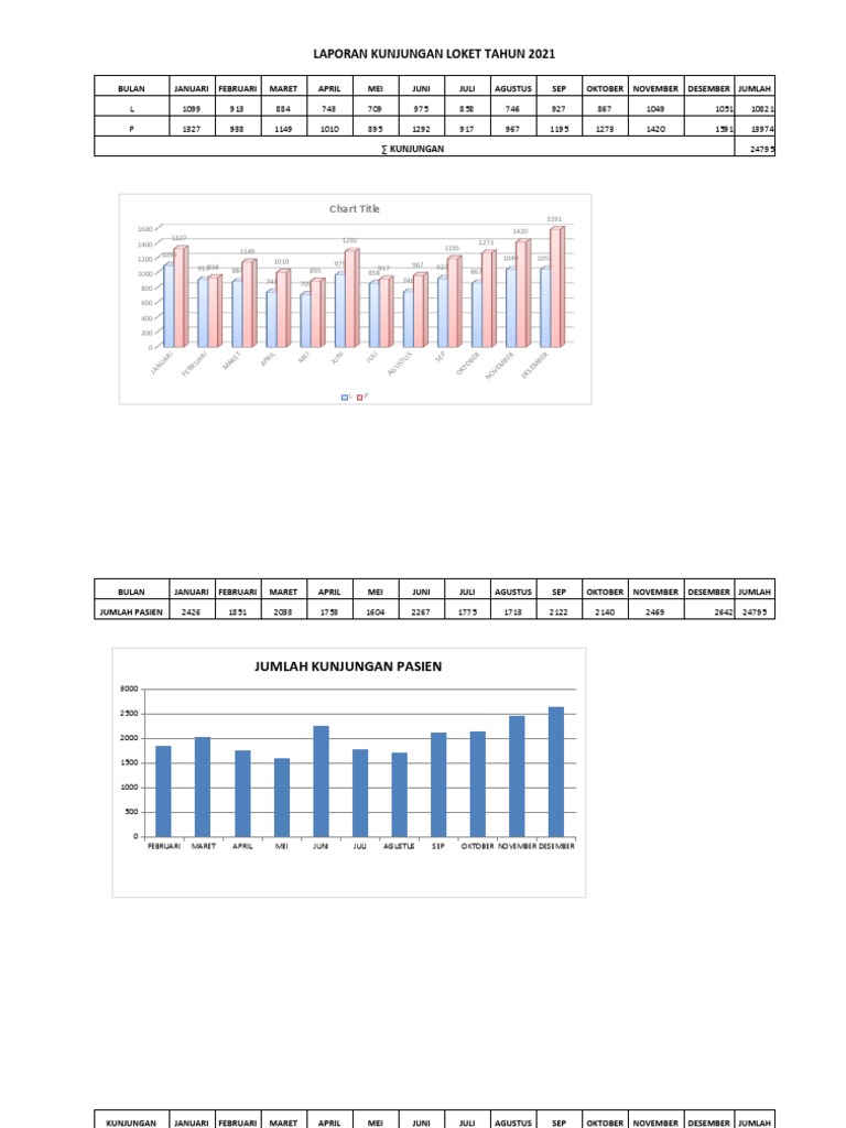Laporan Kunjungan Pasien 2022 | PDF