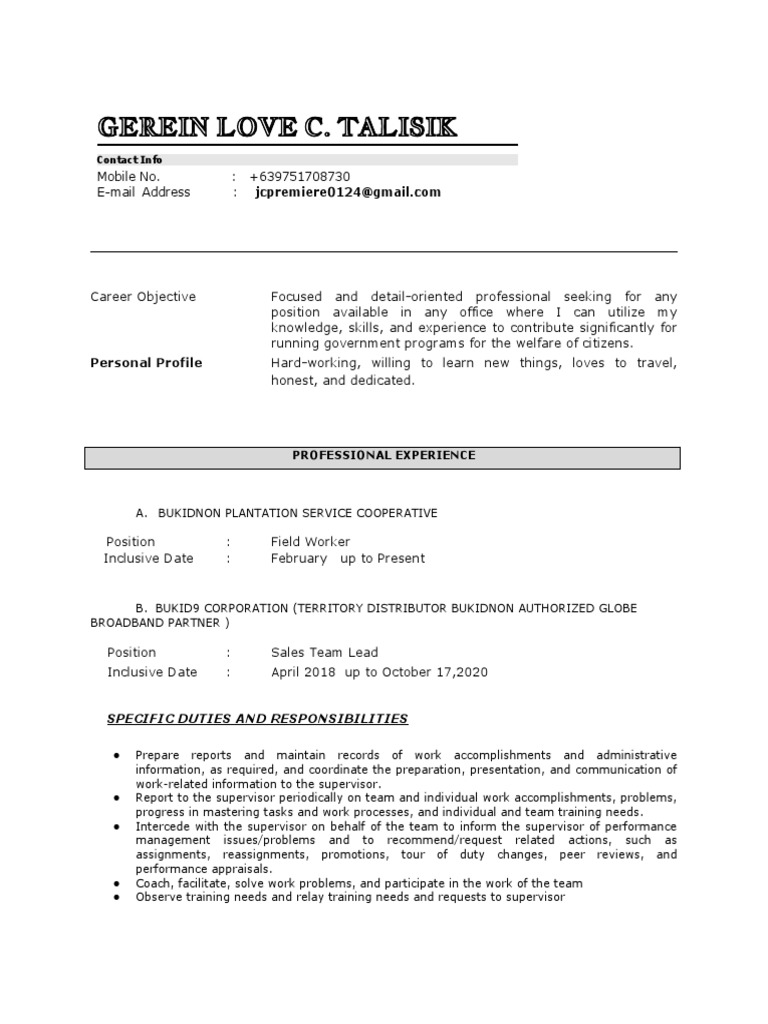 Professional Profile of Gerein Love Talisik | PDF | Lesson Plan