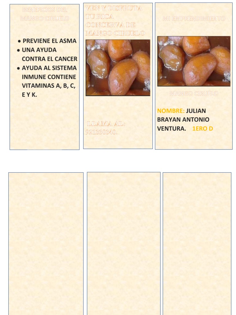 Triptico# Julian Brayan Antonio Ventura## | PDF