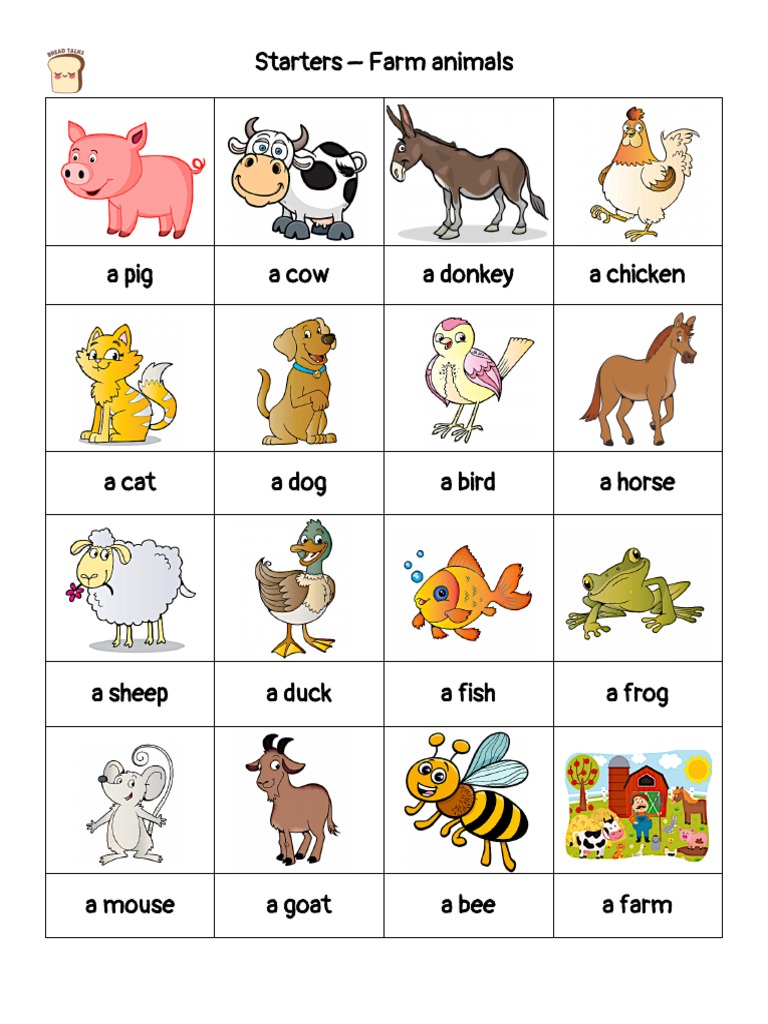 Farm Animal Starters for Kids | PDF | Cooking, Food & Wine