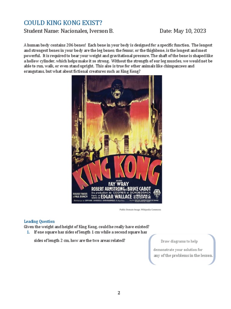 King Kong | PDF