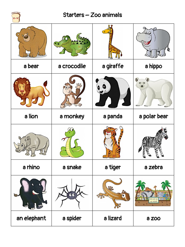 Zoo Animals for Young Readers | PDF | Young Adult