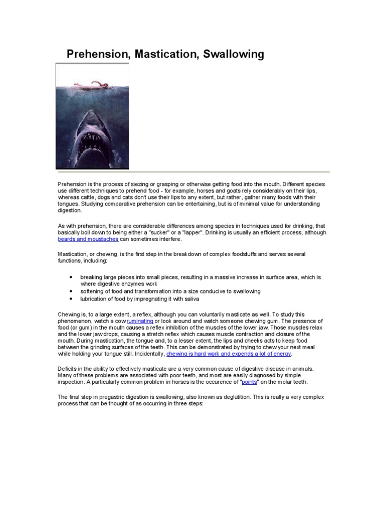 Prehensiune Masticatie Deglutitie | PDF | Esophagus | Digestion