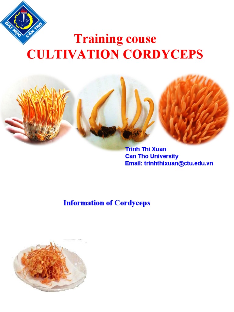 cultivation cordyceps | PDF