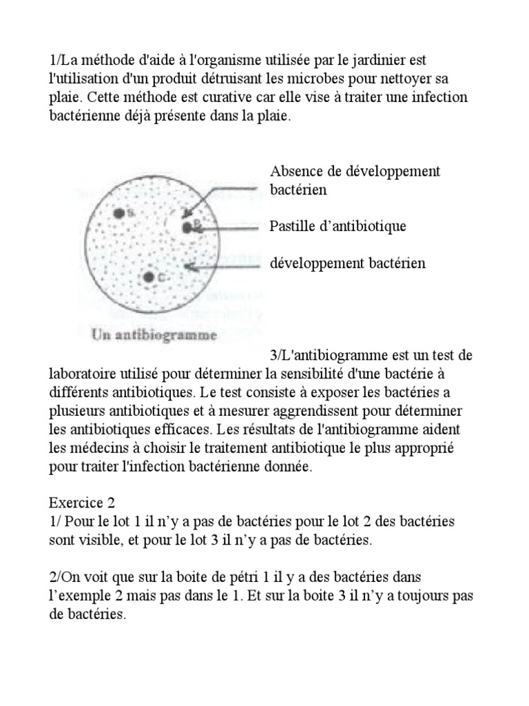 Interprétation des résultats d'antibiogramme | PDF