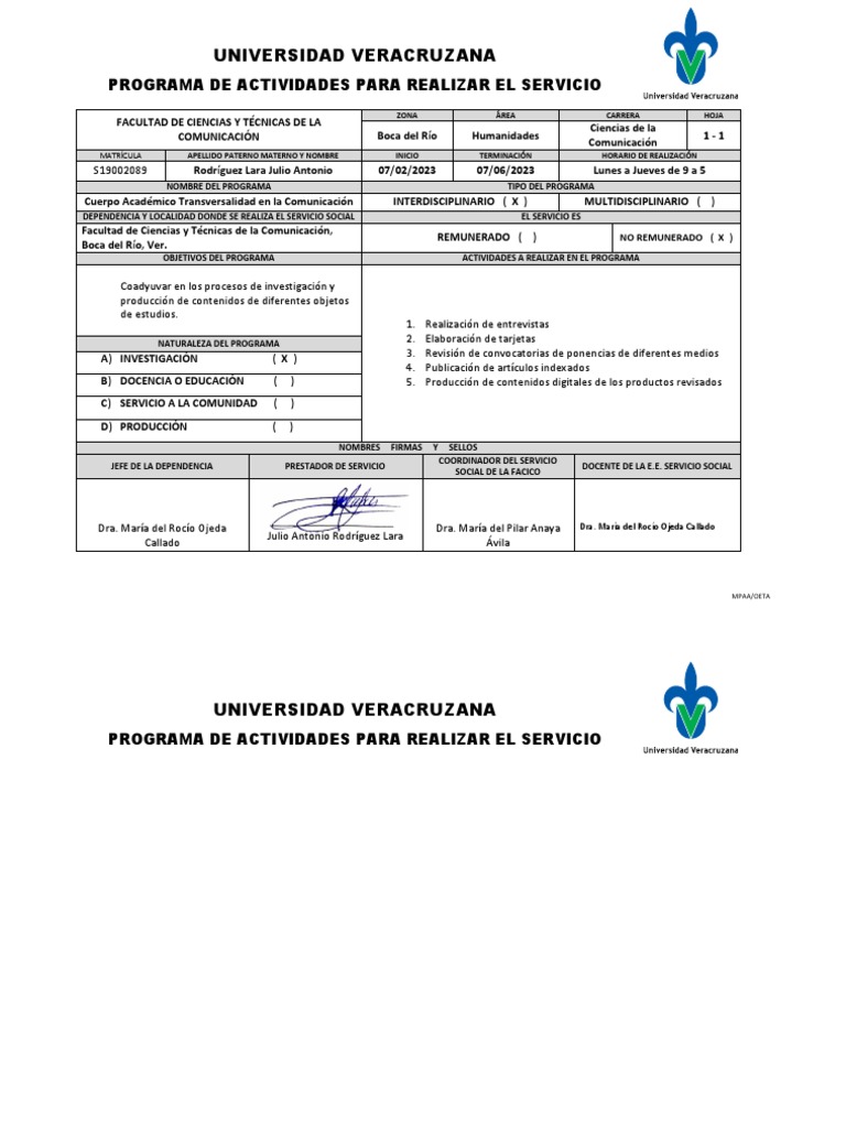 SS Plan Trabajo | PDF
