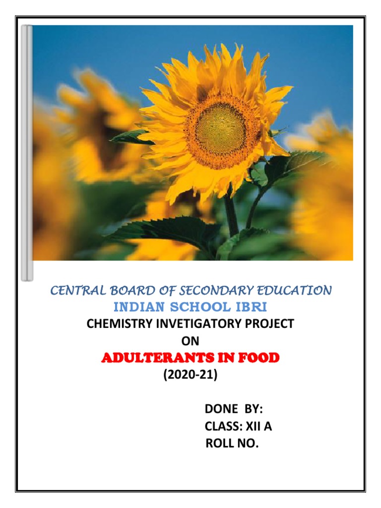 A Sample Project Work | PDF