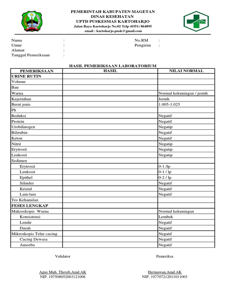 Hasil Lab Urine | PDF