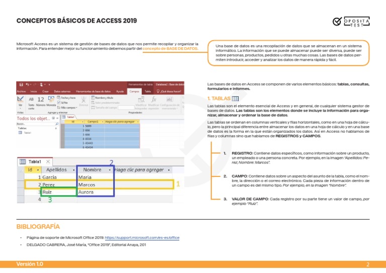 Access Conceptos Basicos | PDF
