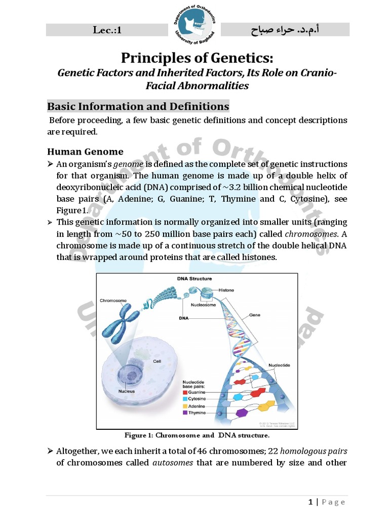 Principles of Genetics:: Genetic Factors and Inherited Factors, Its Role On Cranio-Facial ...