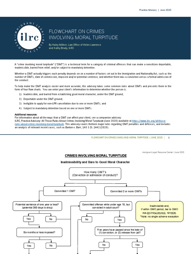 Cimt Flow Charts 0620 | PDF
