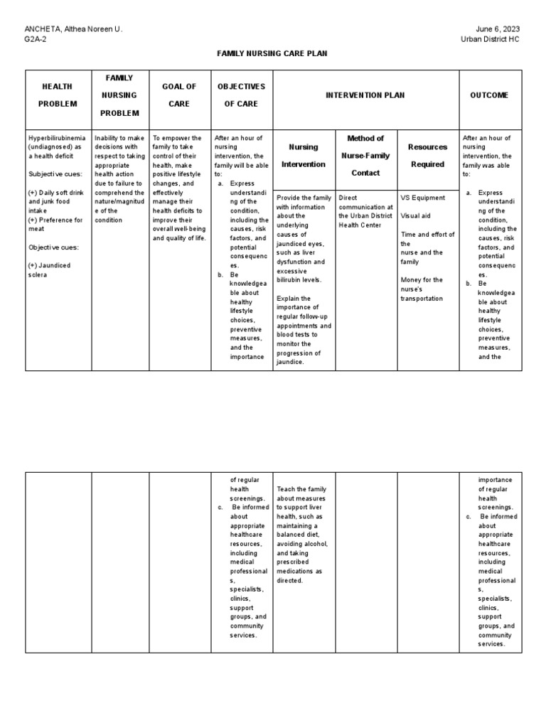 FNCP Hyperbilirubinemia | PDF