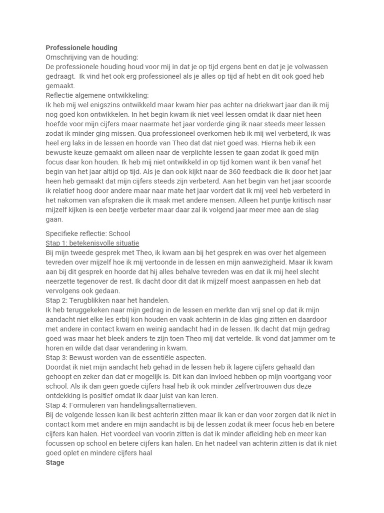 Professionele Houding | PDF