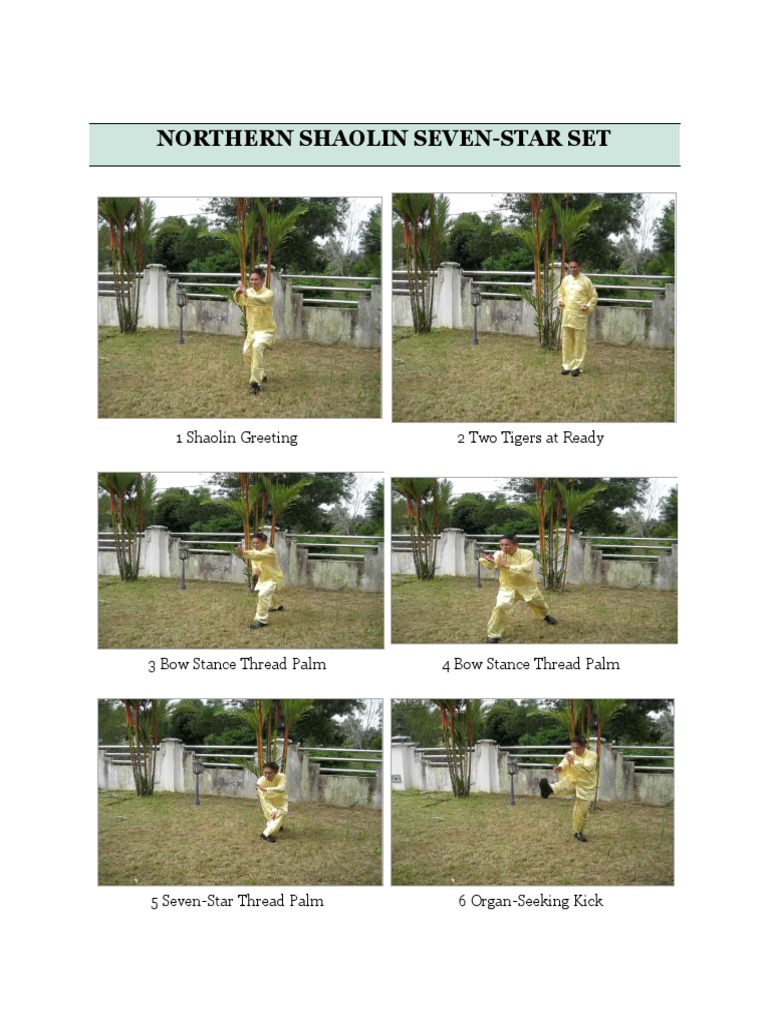 Northern Shaolin Seven-Star Set | PDF