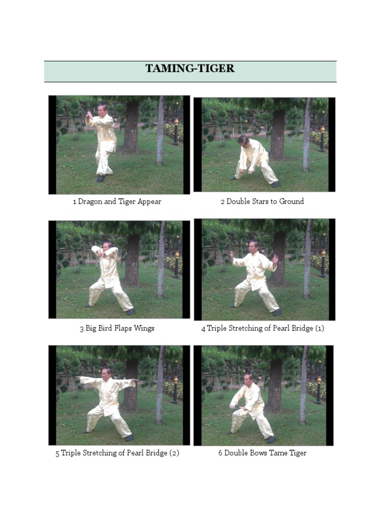 Taming Tiger | PDF | Dragon | Tiger