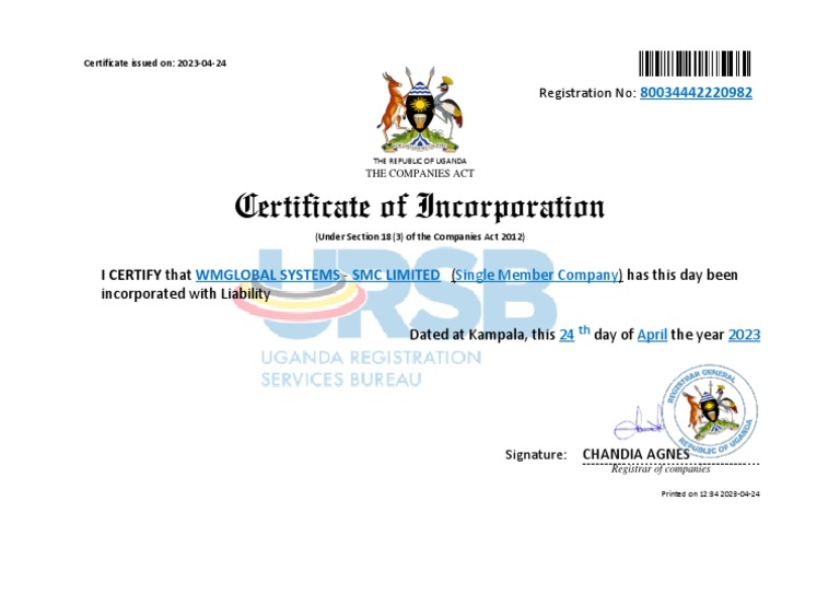 Registration Certificate | PDF
