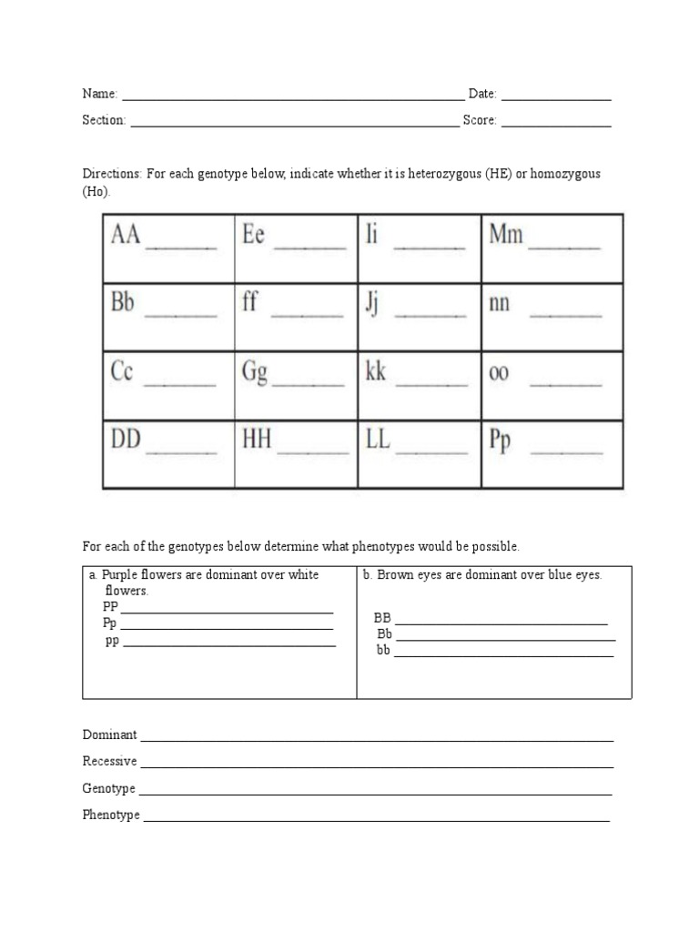 Activity Mendelian Genetics | PDF | Career & Growth