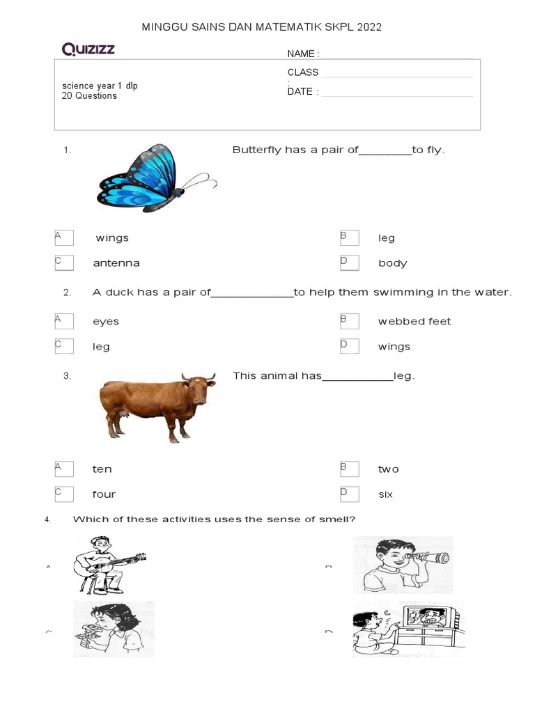 Science Year 1 DLP | PDF