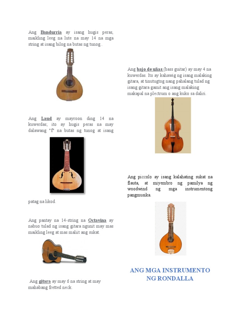 INSTRUMENTS | PDF